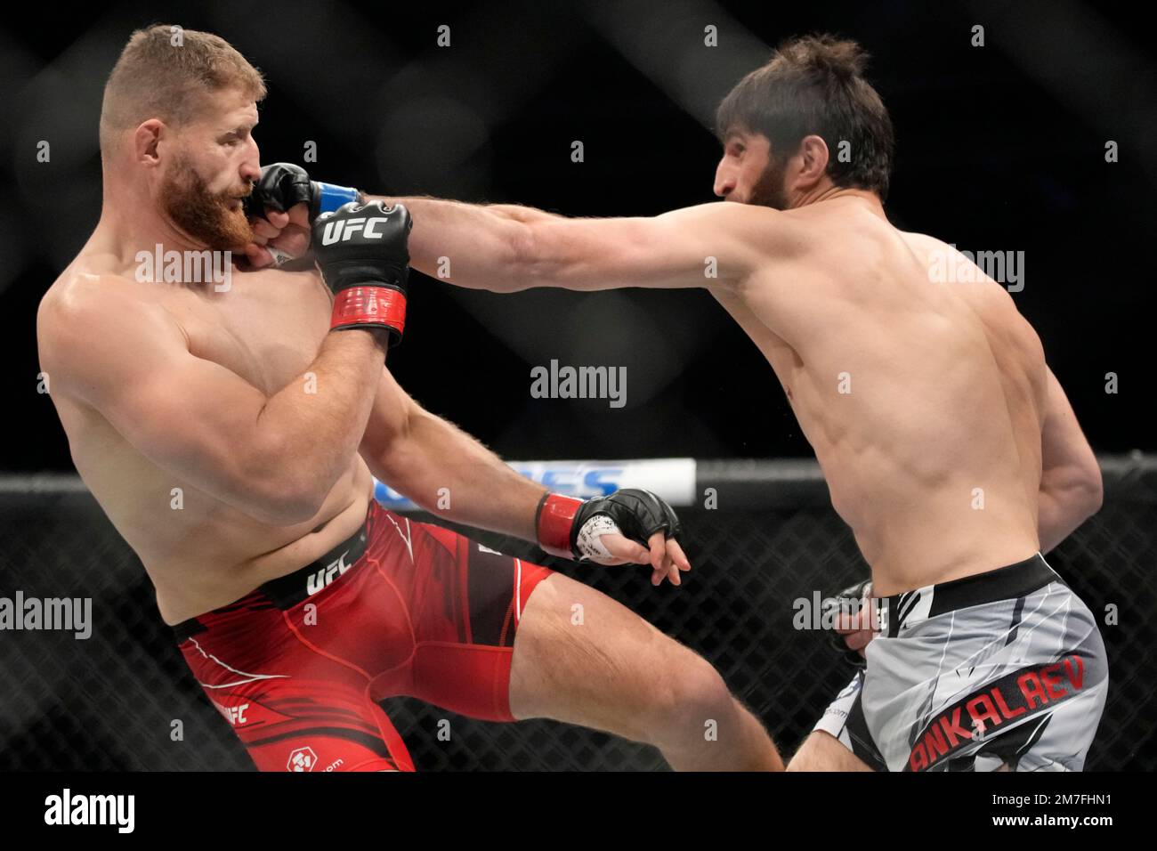 Magomed Ankalaev hits Jan Blachowicz during a UFC 282 mixed martial ...
