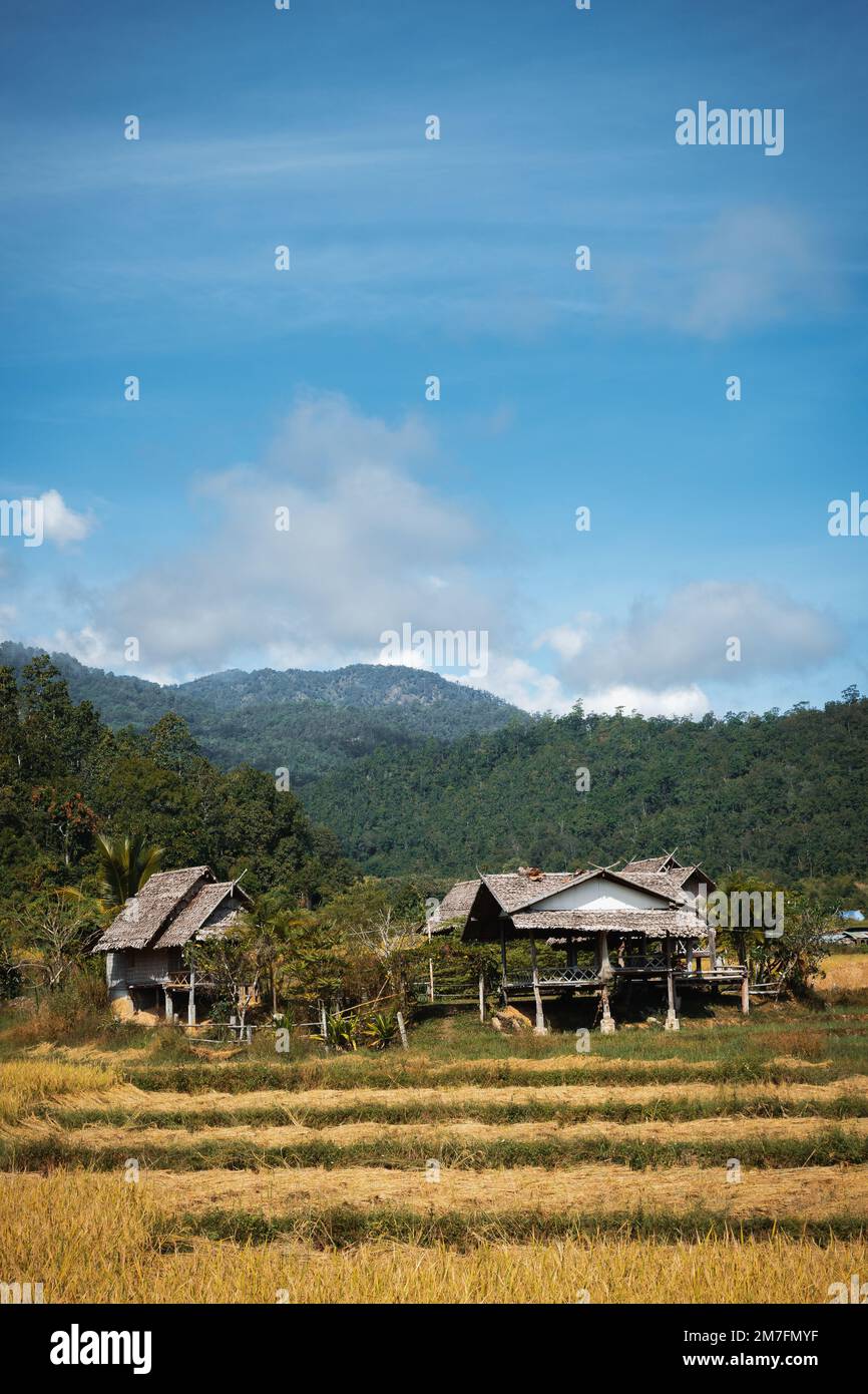 Wooden shelters on rice field, Northern Thailand landscape Stock Photo ...