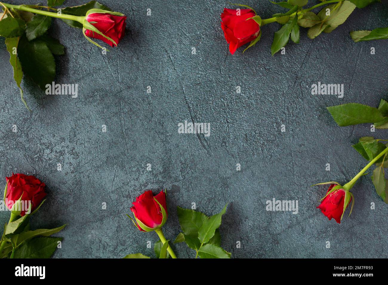 Red roses for Valentine's Day, Mother's Day, marriage proposal ...