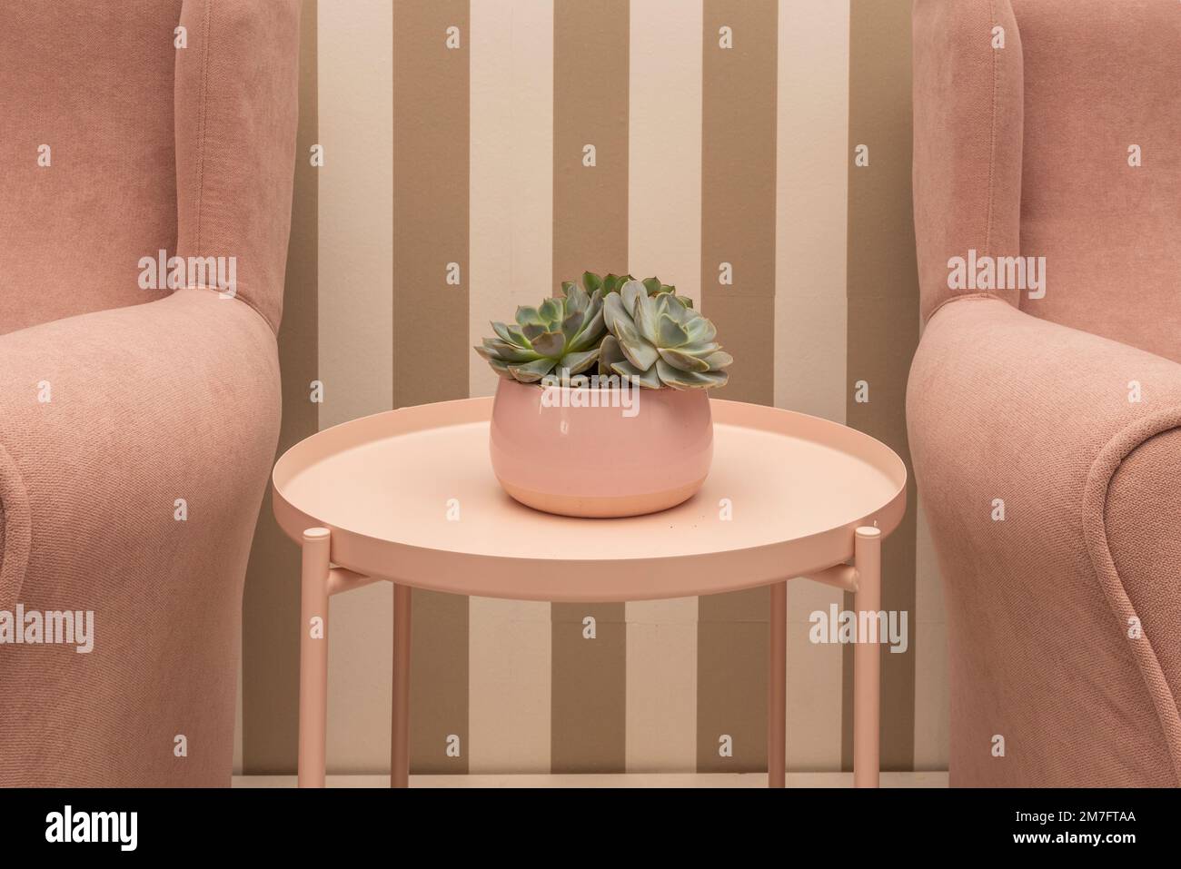 A small pink porcelain pot containing succulent plants on a circular ...