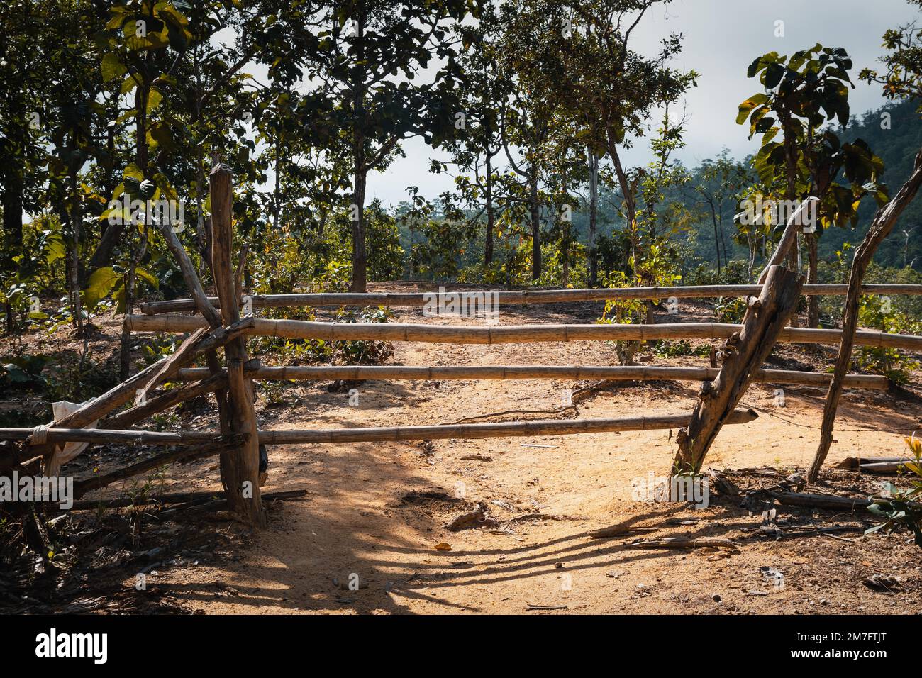 Woods and closed gate hi-res stock photography and images - Alamy