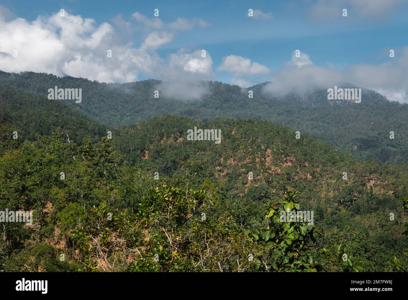 Tropical mountains, rainforest landscape from East Asia Stock Photo - Alamy