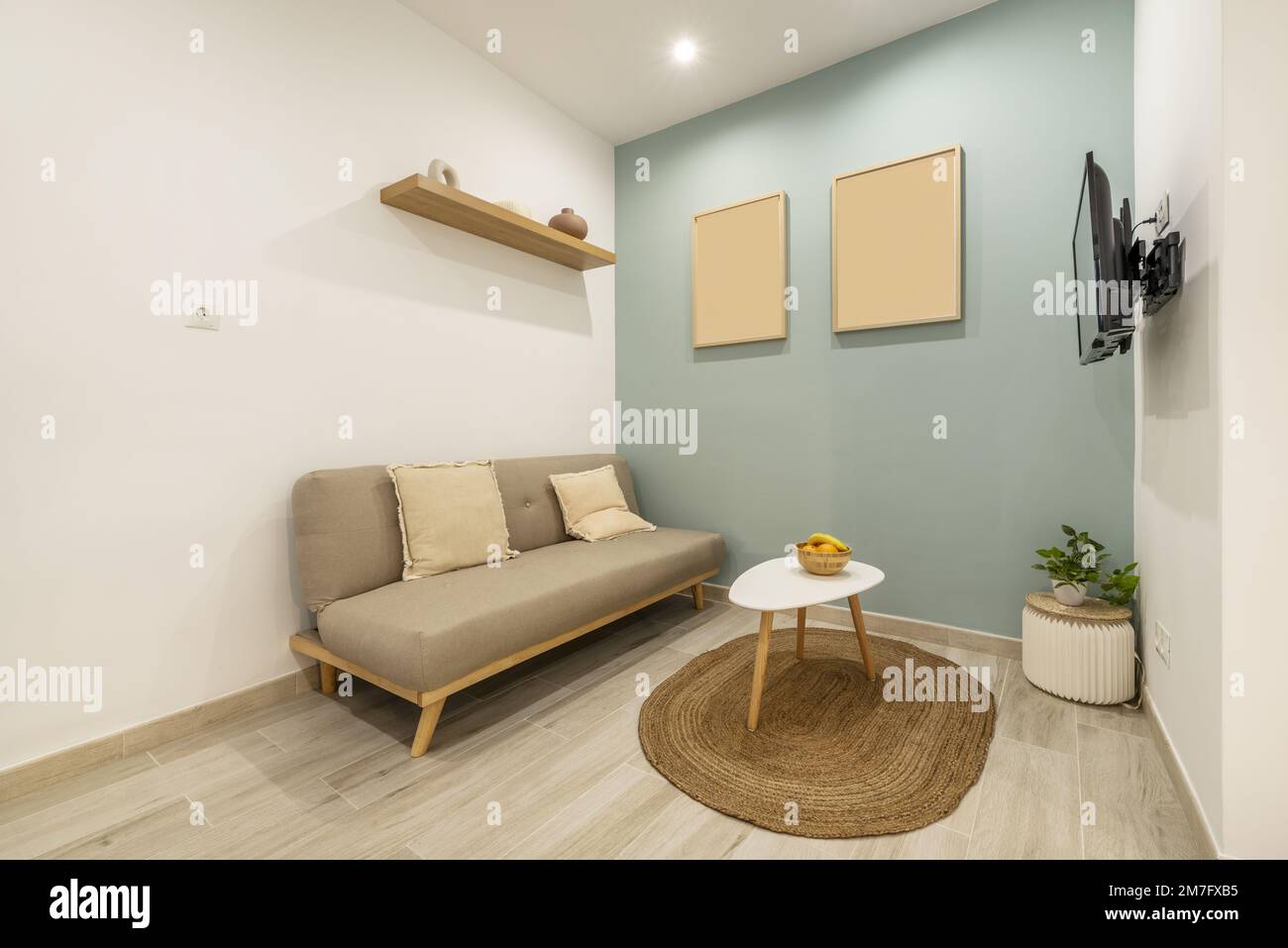 Small living room with gray fabric sofa bed, fiber rug and wall-mounted ...