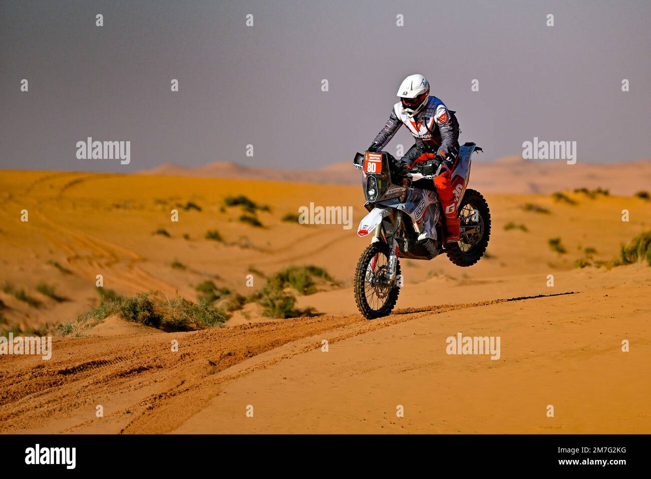 80 MARTYN HILLIER James (gar), Rich Energy OMG Racing Ltd, GasGas, Moto ...