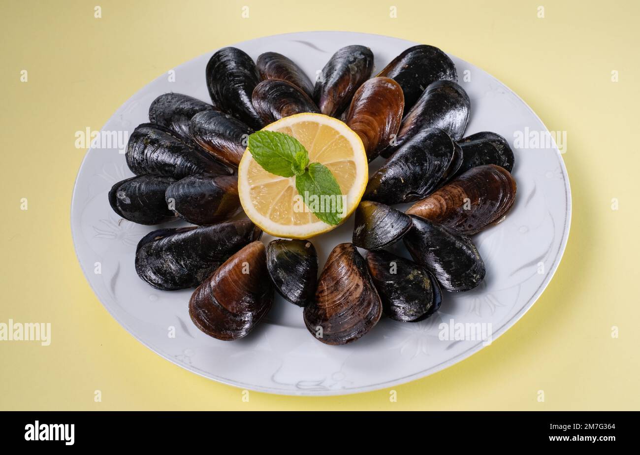 Turkish Street Food Stuffed Mussels and Lemon on Plate Isolated Yellow ...