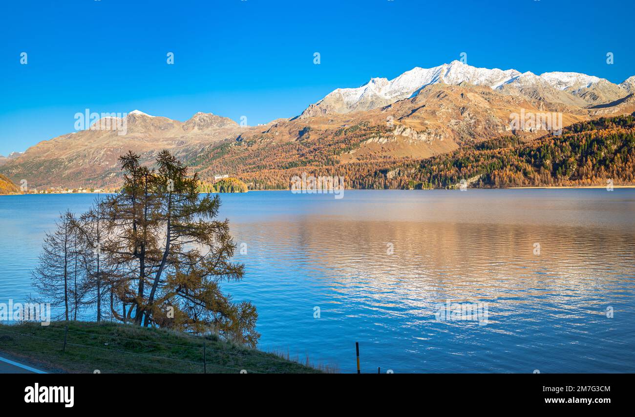Autumn colors in sils hi-res stock photography and images - Alamy