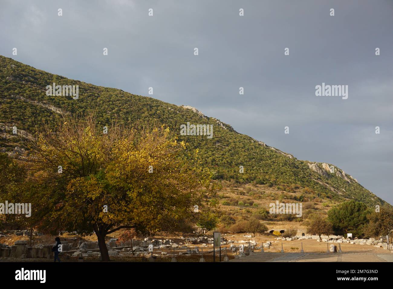 Rodos hi-res stock photography and images - Alamy