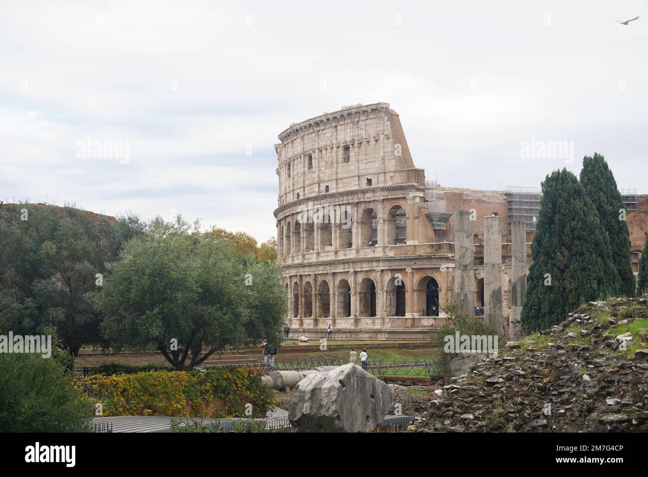 Roma colosseo view hi-res stock photography and images - Alamy