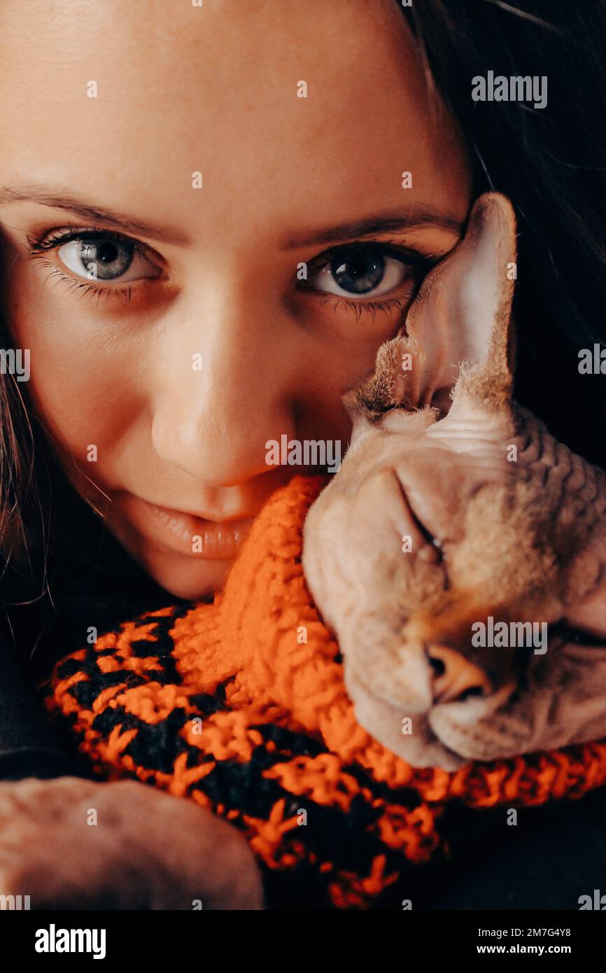Woman hugs a Sphynx cat in a red jumper at home. Beloved hairless kitty ...