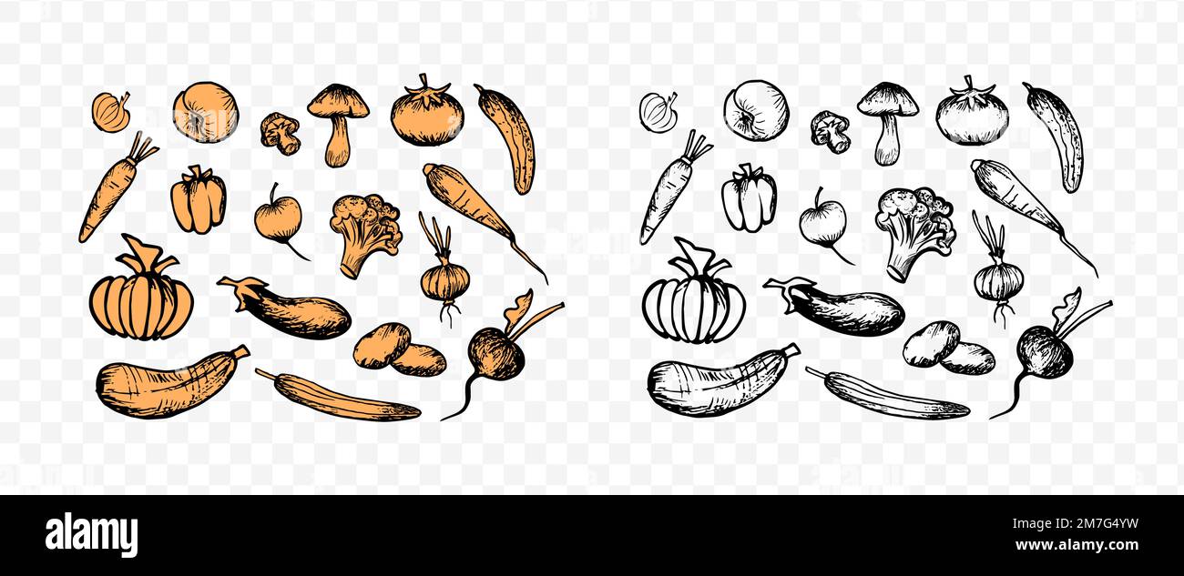 Vegetables doodle sketch set colored and black Stock Vector Image & Art ...