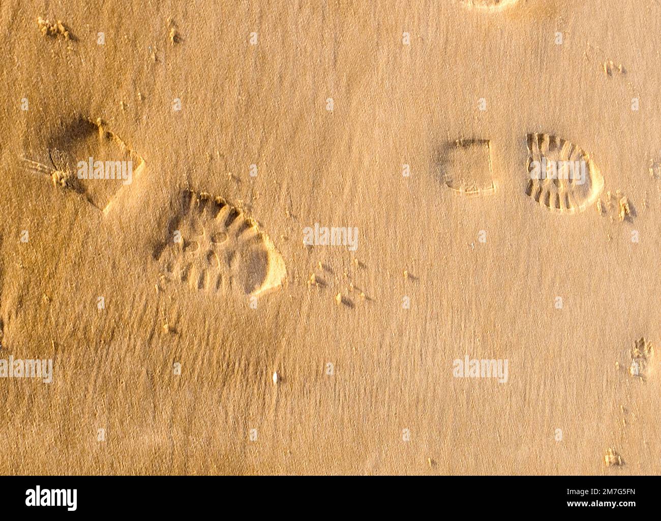 Footprints on Formby Beach, Merseyside, England Stock Photo - Alamy