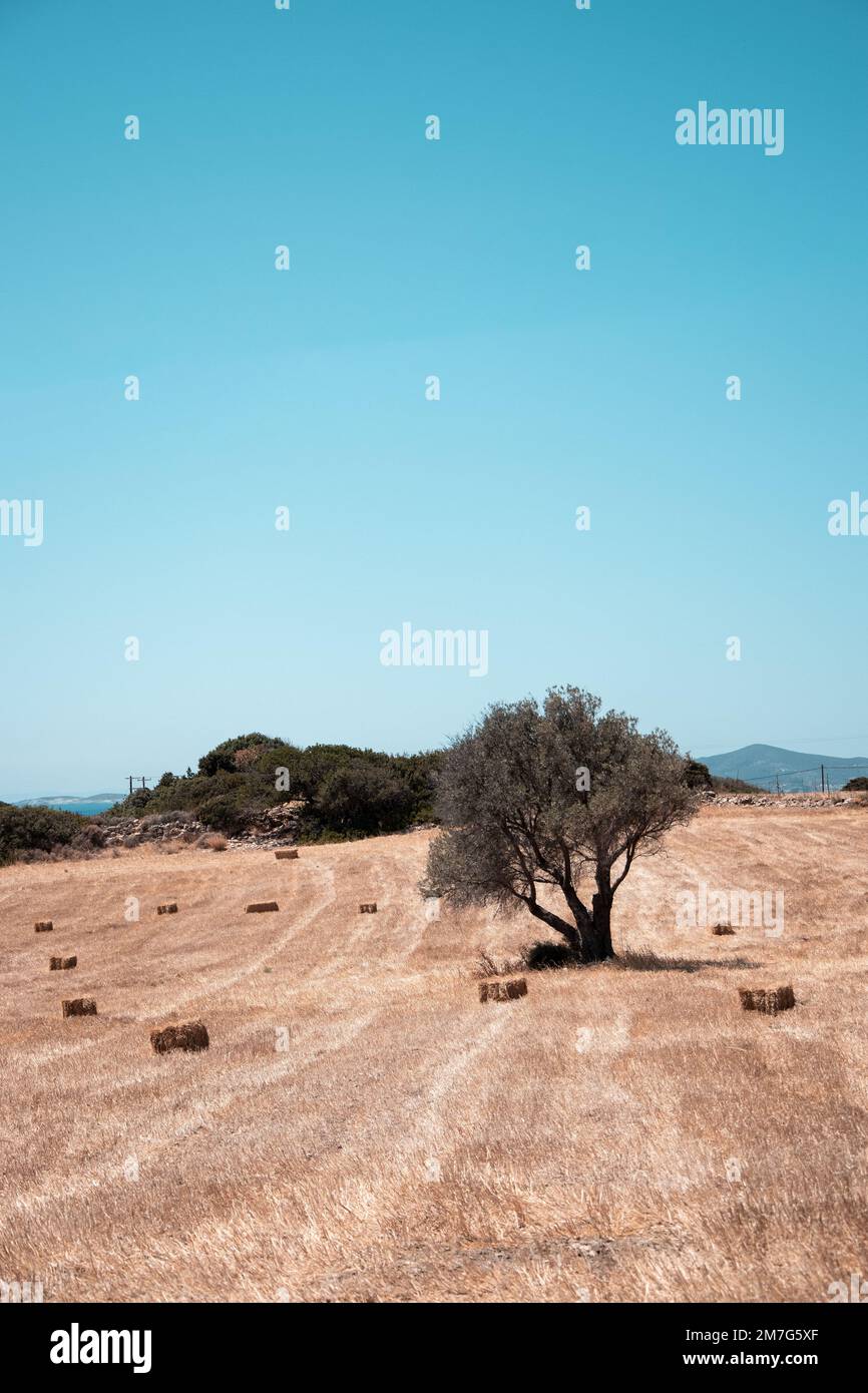 Hay blocks hi-res stock photography and images - Alamy