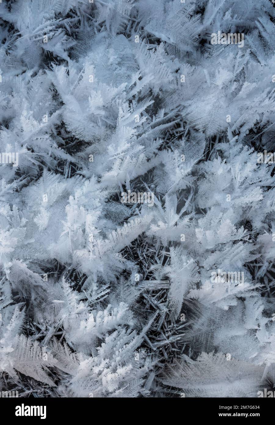 Natural background of three-dimensional frost patterns. Beautiful ice ...