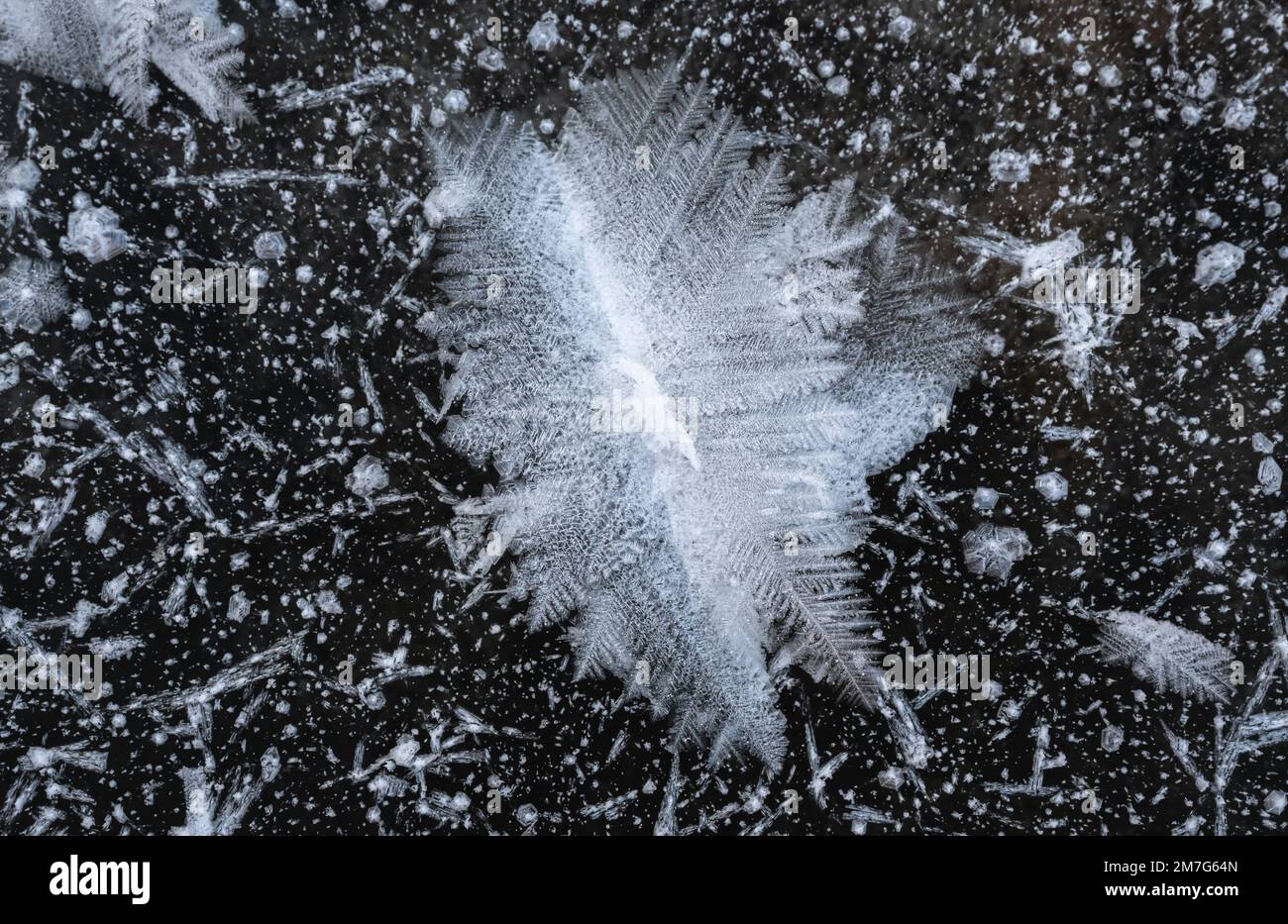 Beautiful ice crystals in the form of feathers and down during frosts ...