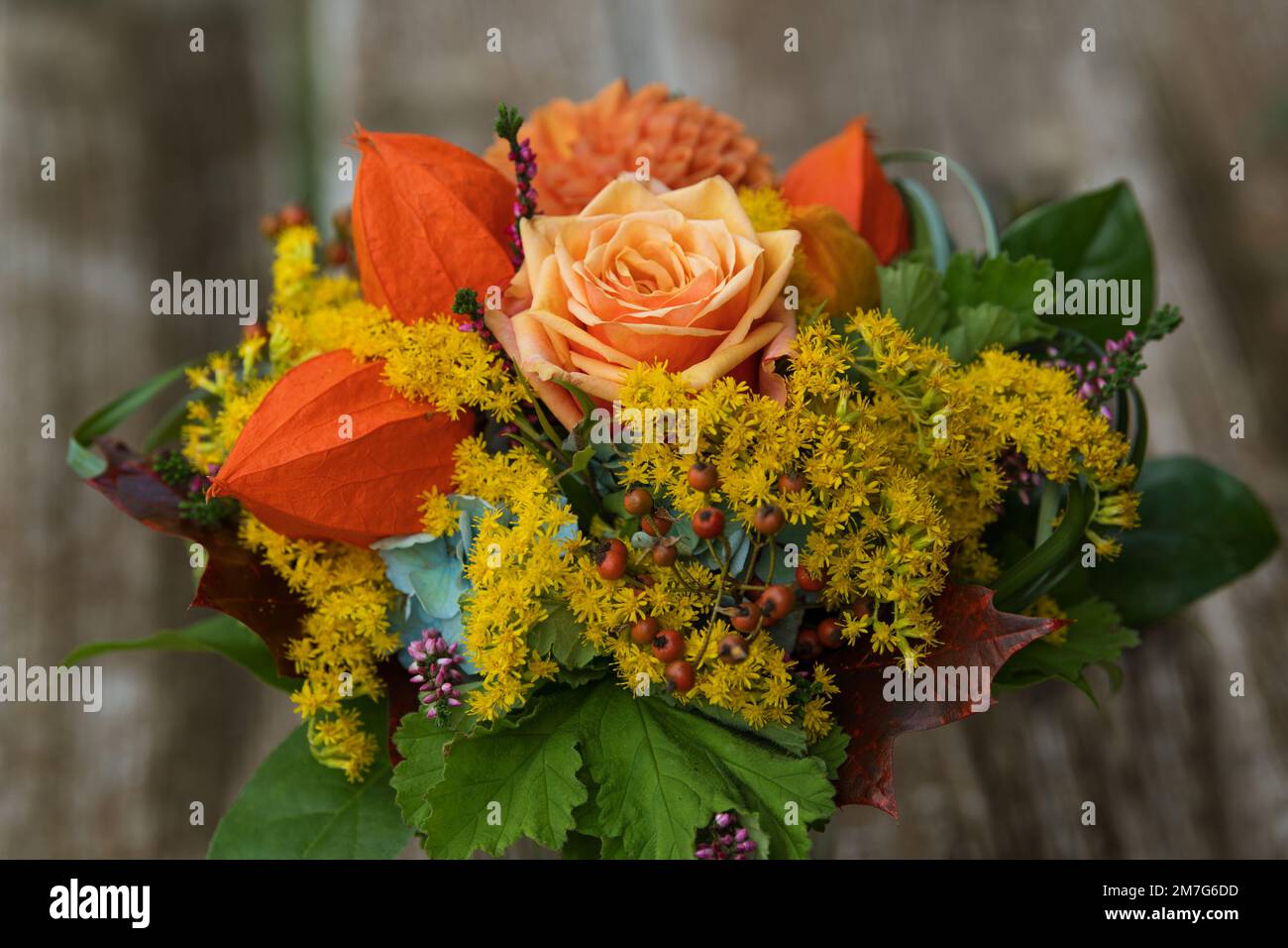 Colorful flower bouquet in nature background Stock Photo - Alamy