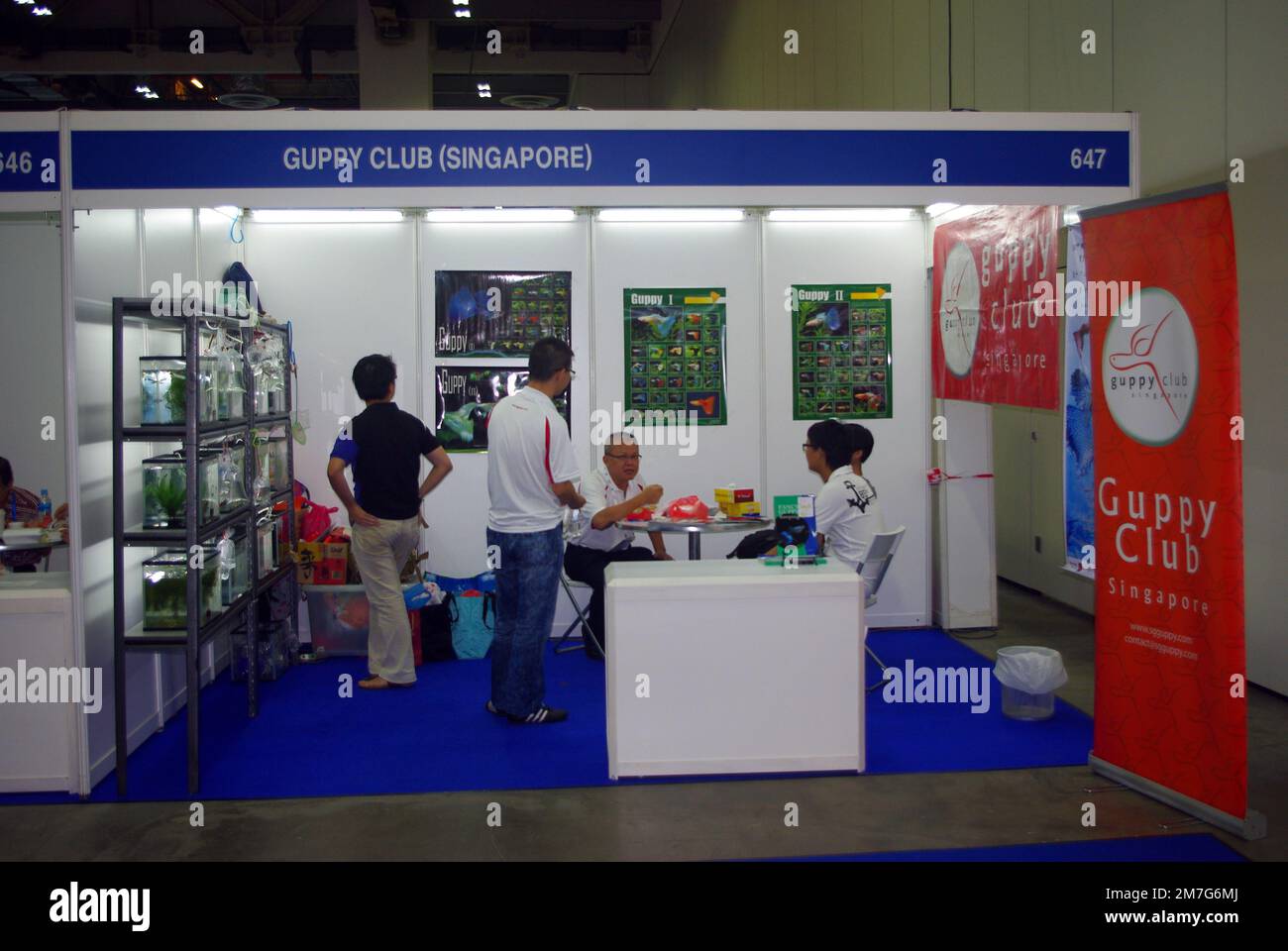 Guppy fish club at Aquarama Singapore (Aquarium fish exhibition Stock ...
