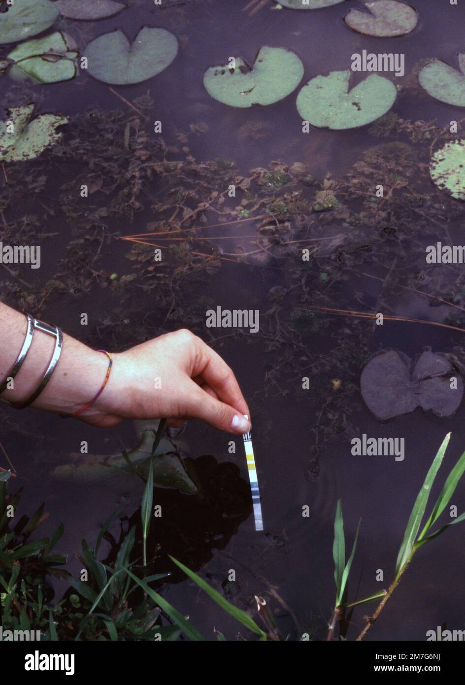 Water chemistry test (pH and hardness) in a freshwater pond Stock Photo ...