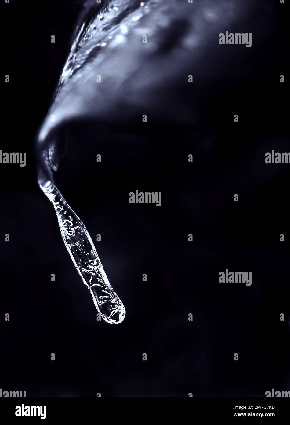 Bevil oaks hi-res stock photography and images - Alamy