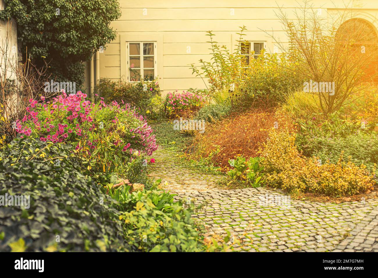 Old plant garden centre hi-res stock photography and images - Alamy