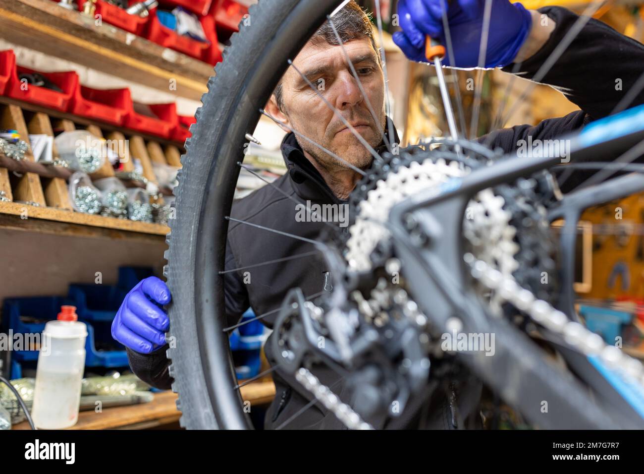 Cycling technician repairing and maintaining bike and chain mechanism ...