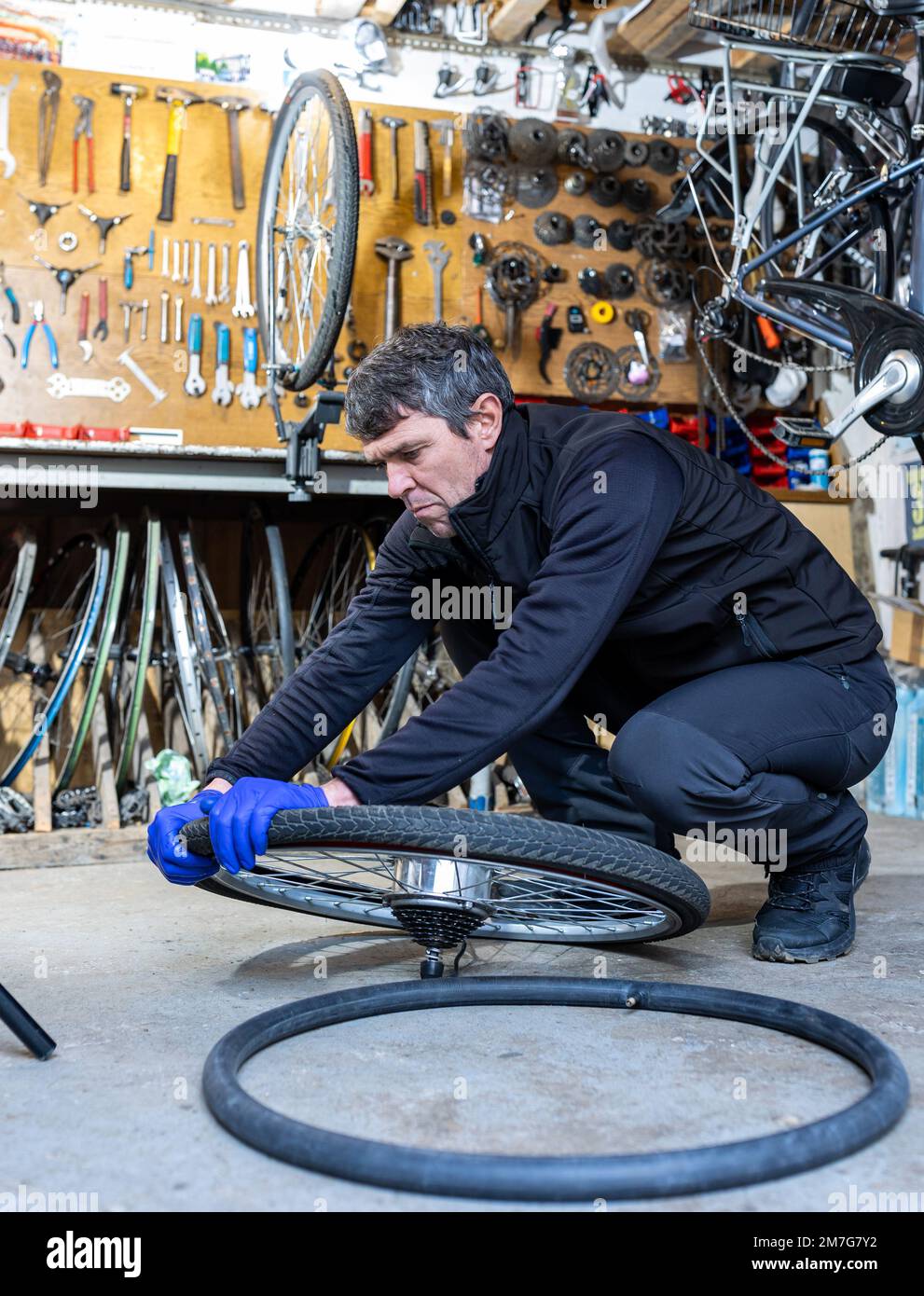 Cycling technician and maintaining bike and changing tyre on wheel in ...