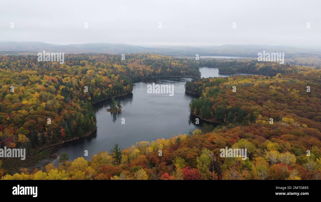 A beautiful view of a long in the middle of a dense forest with bright ...
