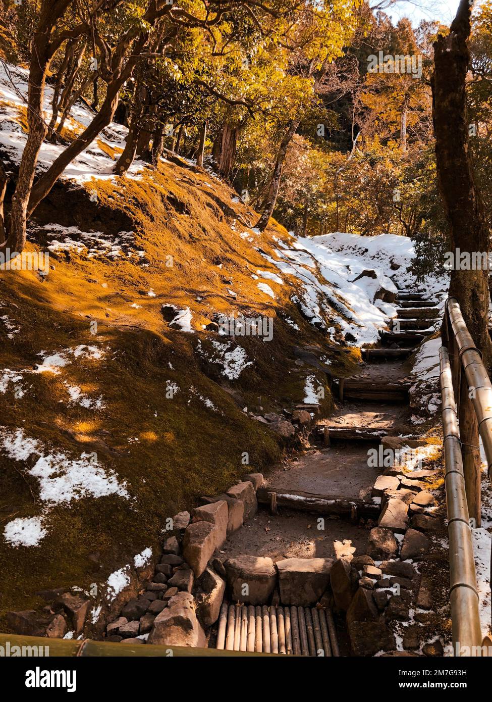 A vertical shot of narrow stairs in a park with snow in some parts ...