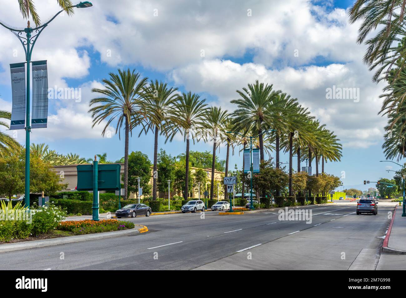 Median strip hi-res stock photography and images - Alamy
