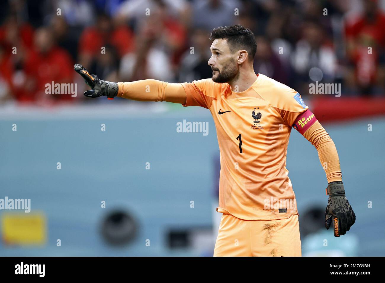 AL KHOR - France goalkeeper Hugo Lloris during the FIFA World Cup Qatar ...
