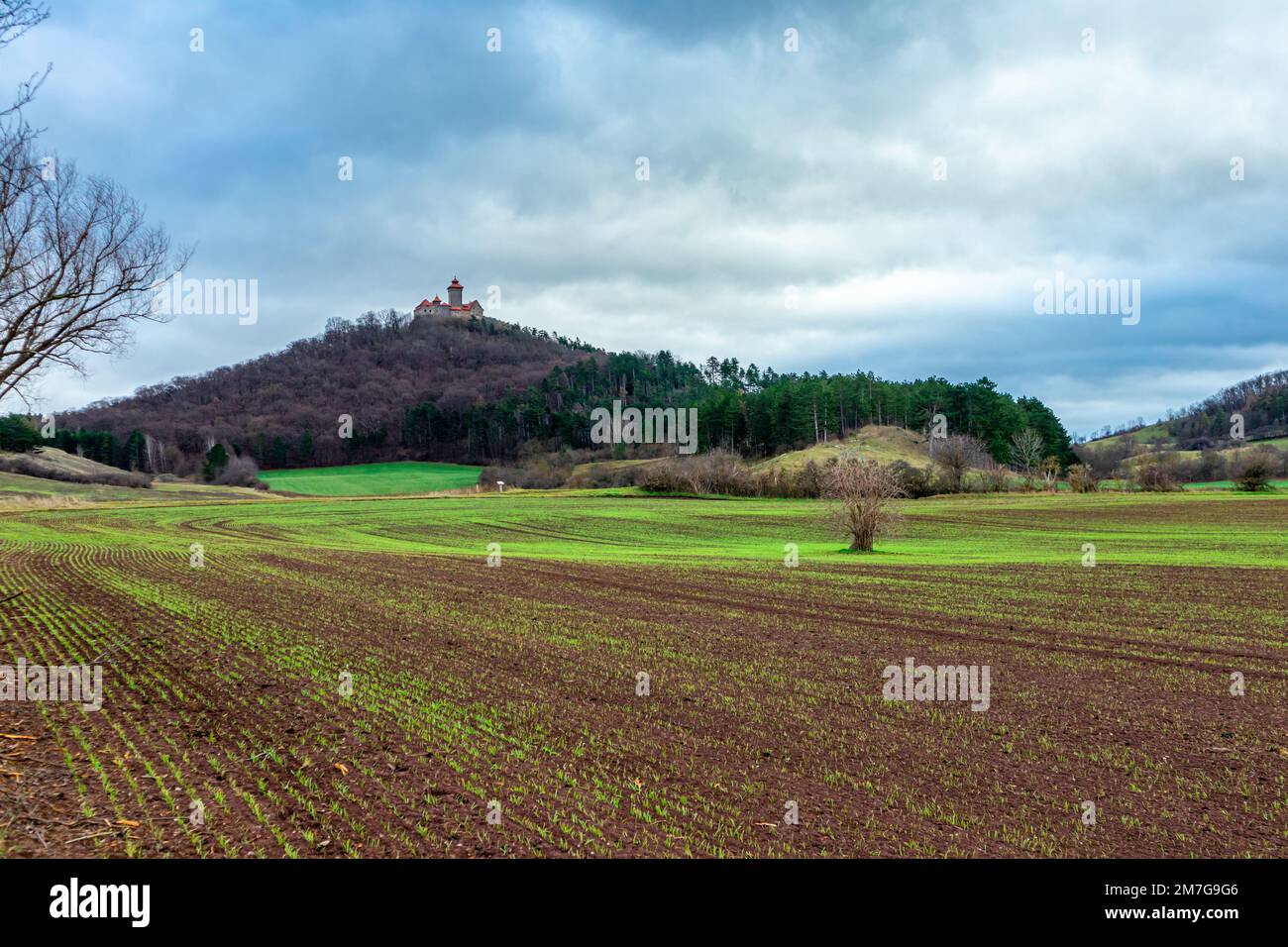 Thuringerwald hi-res stock photography and images - Alamy
