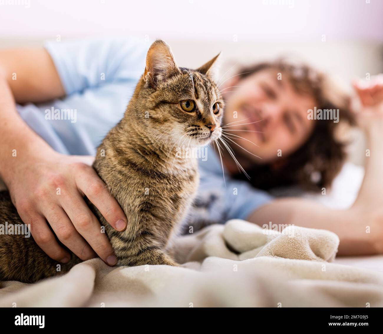 Young man cuddling cute tabby cat in bed Stock Photo - Alamy