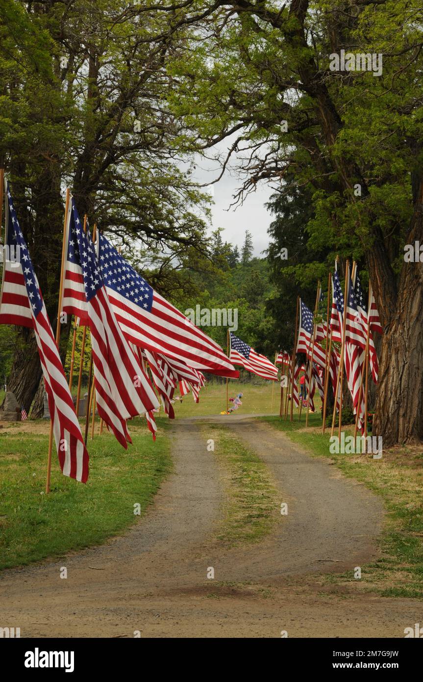 Flags in a Cemetery Stock Photo - Alamy