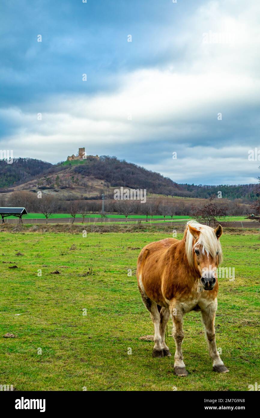 Short hike around the beautiful Drei Gleichen in the Thuringian Basin ...