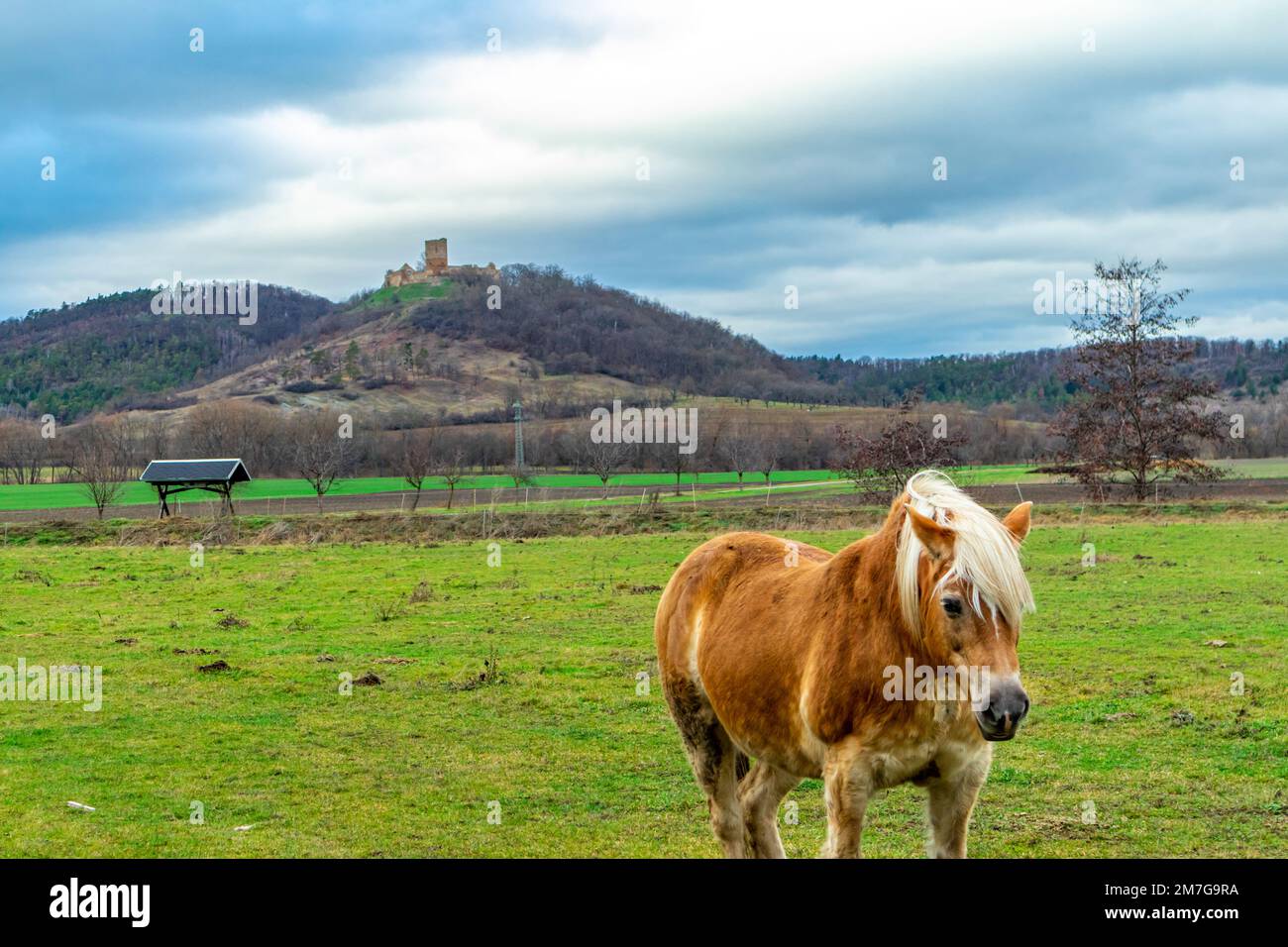 Short hike around the beautiful Drei Gleichen in the Thuringian Basin ...