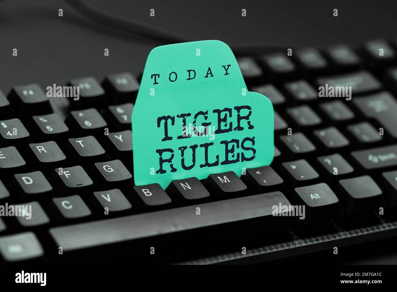 Text caption presenting Tiger Rules. Business idea Willpower and ...