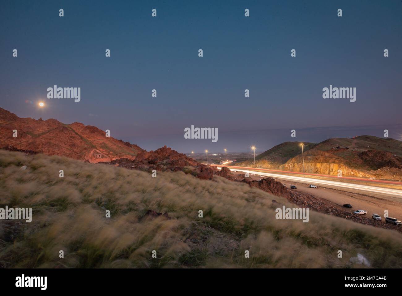 Green nature of the Saudi Arabian desert during winter Stock Photo - Alamy