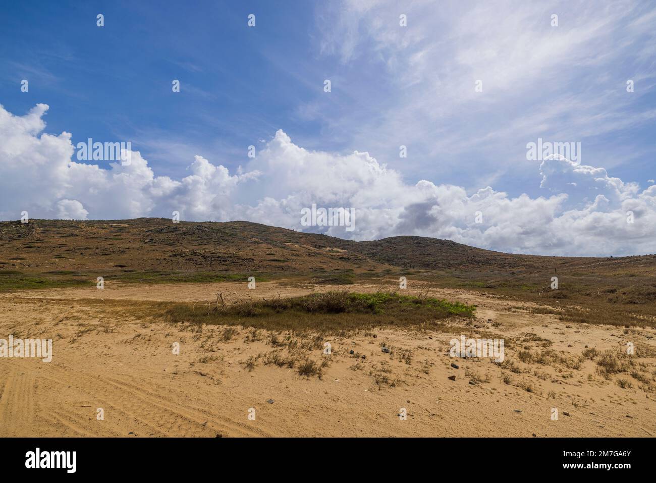Gorgeous Aruba desert landscape view on blue sky with puffy white ...