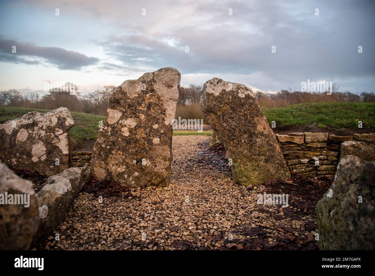 Nymphsfield Neolithic long barrow in the Gloucestershire Cotswolds, UK ...