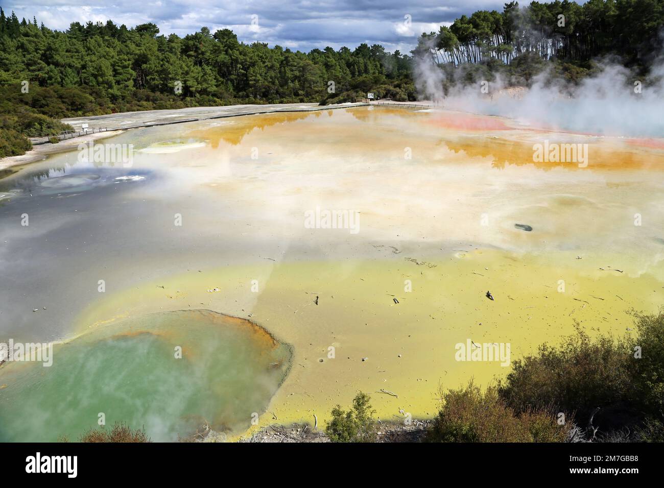 Colorful Artists Palette - New Zealand Stock Photo - Alamy
