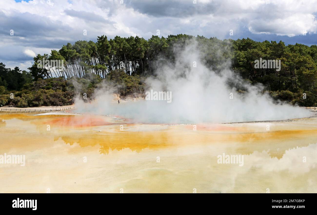 Artists Palette and Champagne Pool - New Zealand Stock Photo - Alamy