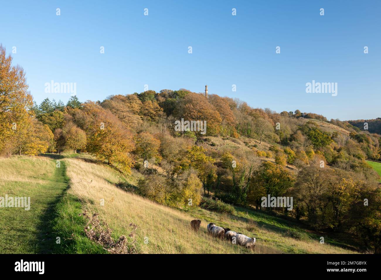 Landscape photo of the autumn colours at the Admiral Hood Monument on ...