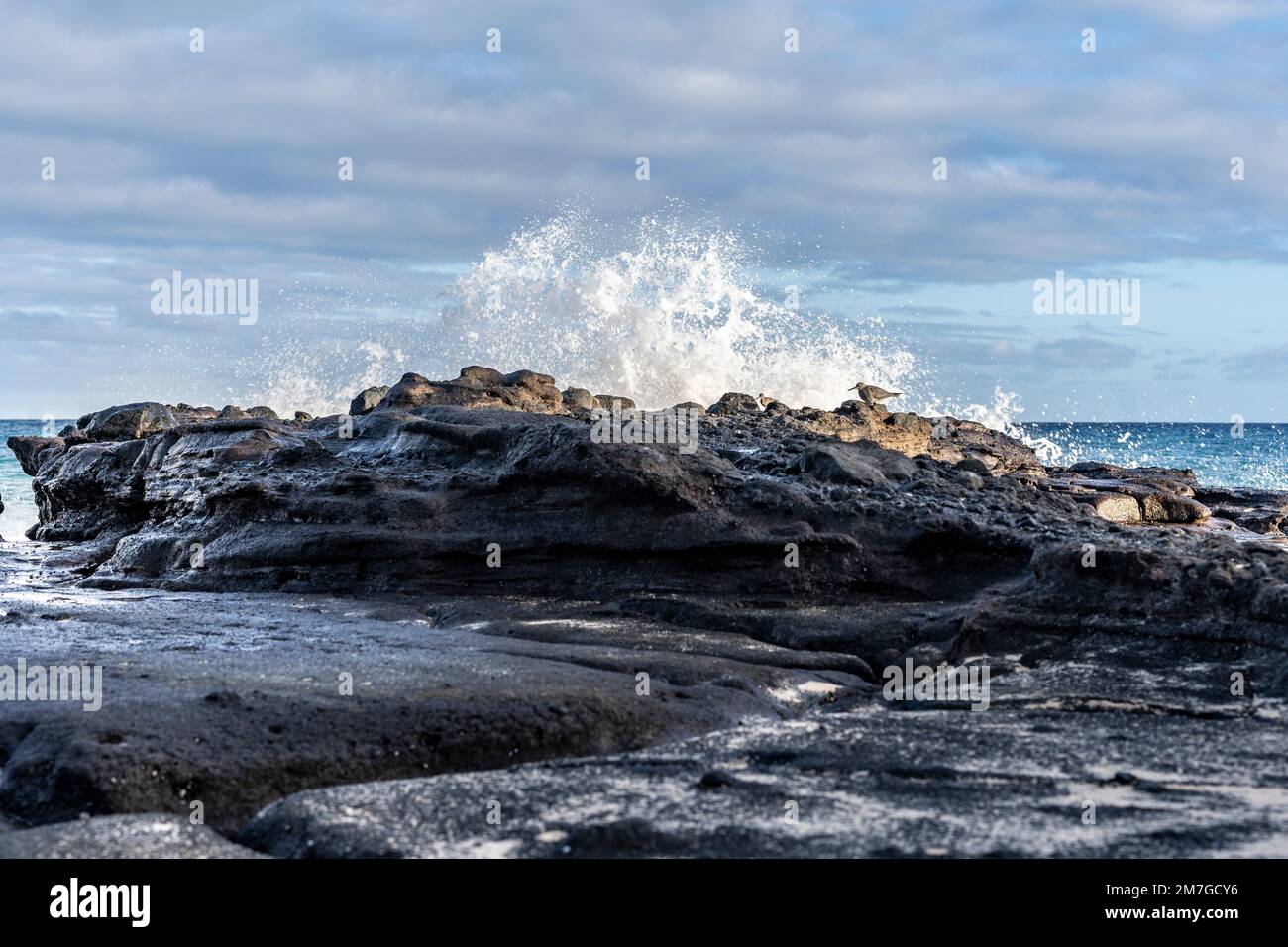 Sea waves hitting rocks at the beach Stock Photo - Alamy