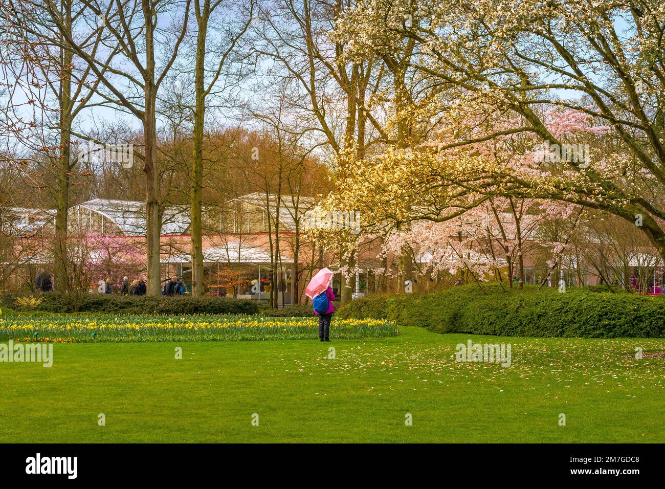Lisse, Netherlands - April 4, 2016: People in dutch spring garden ...