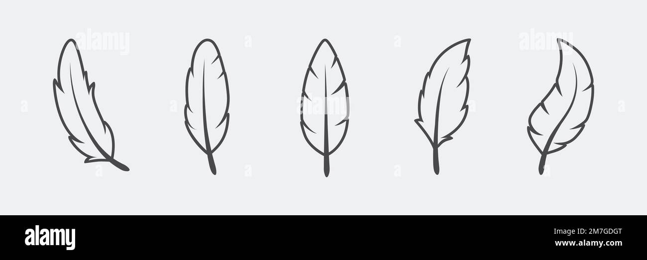 Feather Outline Template