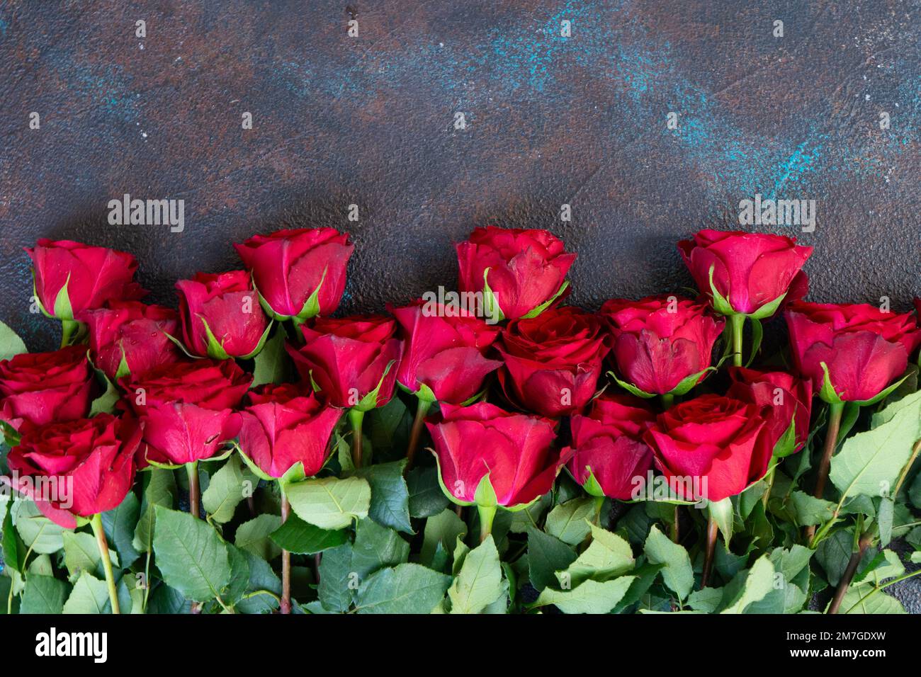 Crimson red rose flowers Stock Photo - Alamy