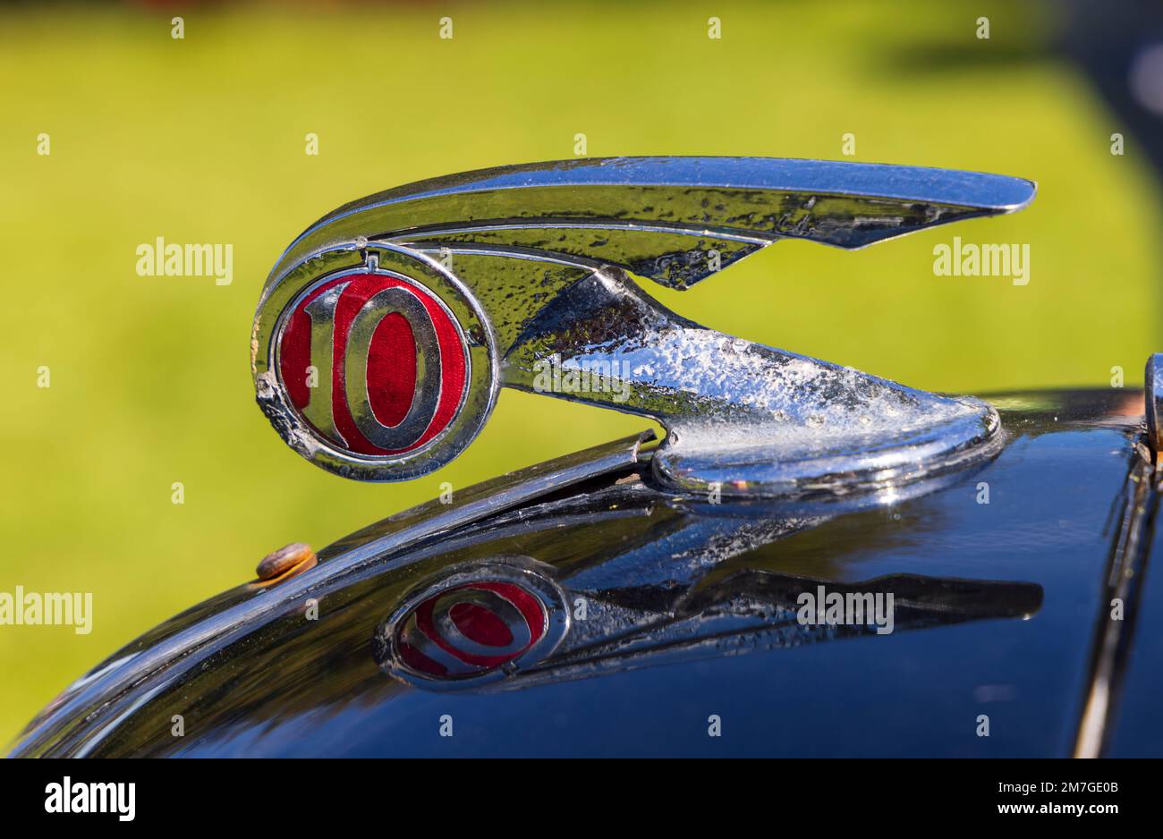 Bonnet mascot hi-res stock photography and images - Alamy