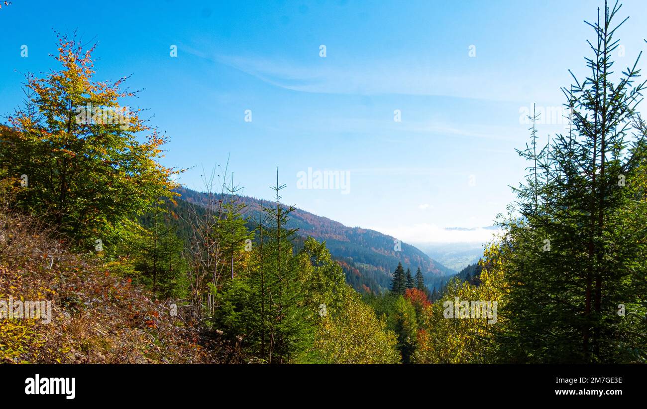 Beautiful nature scenery on hi-res stock photography and images - Alamy