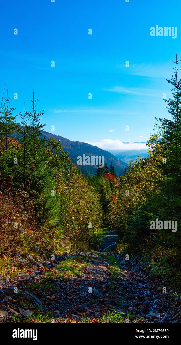 Ukraine beautiful nature hi-res stock photography and images - Alamy