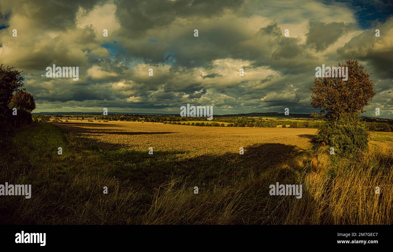 A beautiful view of fluffy clouds over the agricultural land Stock ...