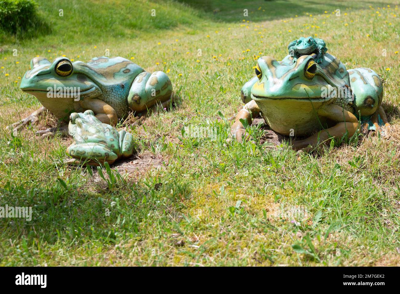Realistic fake plastic frogs sitting in grass Stock Photo - Alamy